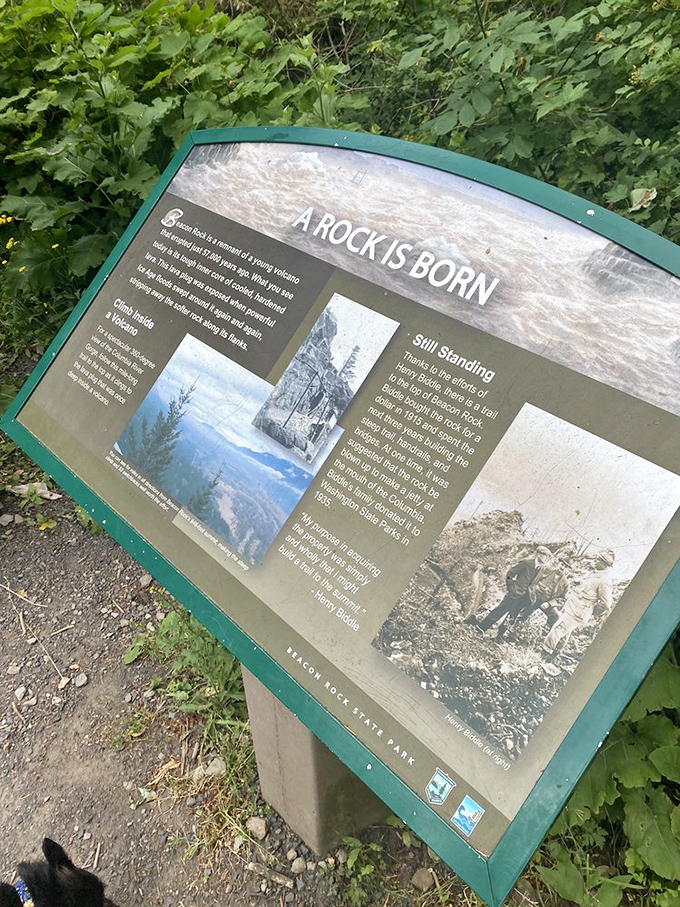 The interpretive signs explain how this ancient volcanic core was born from geological drama that makes today's reality TV seem tame.