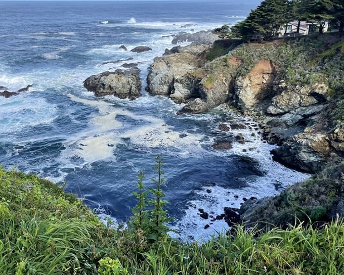 Ocean meets land in a frothy handshake. This intertidal zone hosts twice-daily gatherings of waves that seem determined to reshape California, one splash at a time.