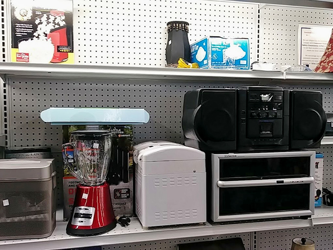 Kitchen appliances in various states of retirement, ready for their second act in someone else's morning routine.