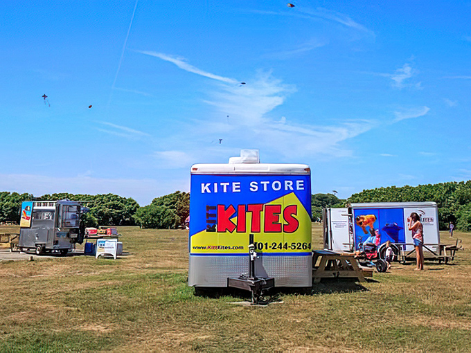 Serious about soaring! The seasonal kite store ensures even the most unprepared visitor can join the aerial festivities above Brenton Point.