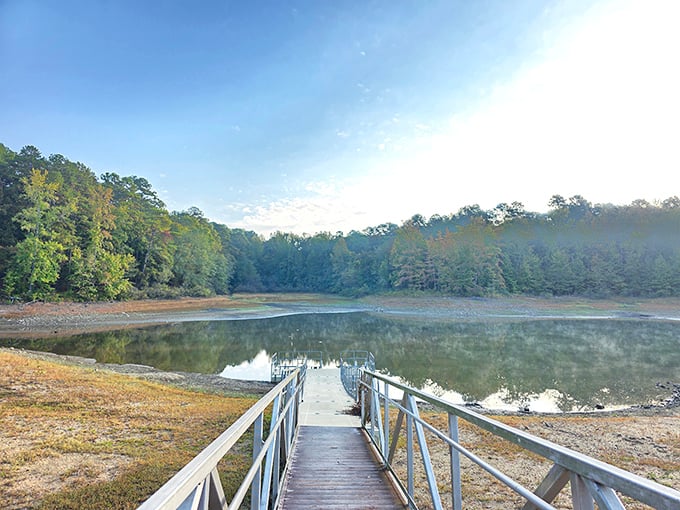 That moment when the lake becomes liquid gold. Sunsets at Daisy State Park make even non-photographers reach for their phones.