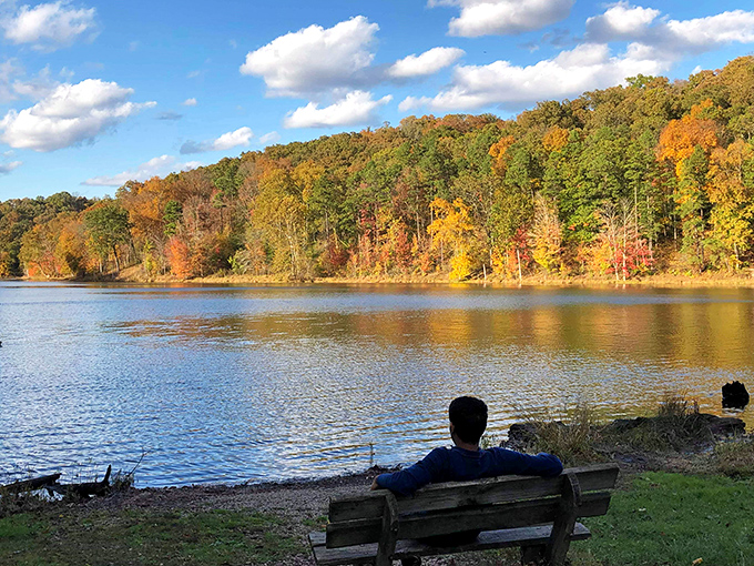 Contemplation station. This lakeside bench has witnessed more life epiphanies than most therapists' couches&mdash;and charges considerably less per hour.