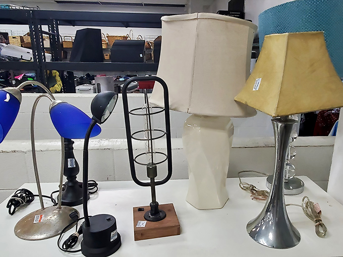 Lamp fantastic! These illuminating finds range from quirky conversation pieces to elegant statement makers, all at prices that won't dim your wallet.