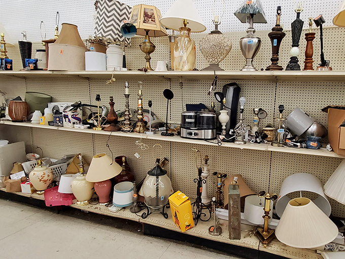 Lamp land—where lighting fixtures from every decade gather to reminisce about the homes they've illuminated and the conversations they've overheard.