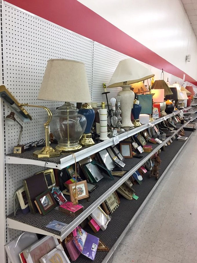 Lamp shopping at Ohio Thrift is like speed dating for home decor. Some are quirky, some are elegant, but all are priced to move quickly. 