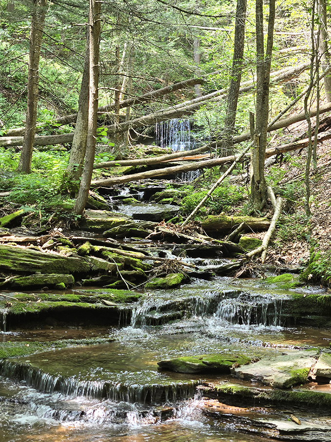 These cascading falls don't need a filter &ndash; they've been perfecting their photogenic qualities since before cameras existed.