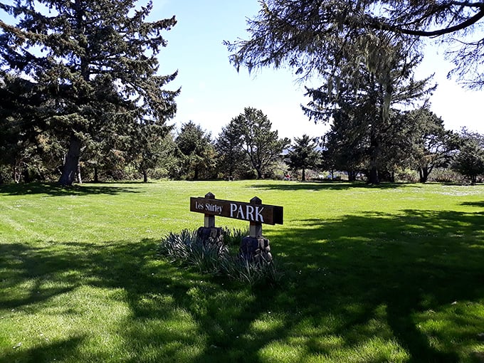 Urban escape valve in the heart of town. Les Shirley Park provides a peaceful green space for picnics, reading, or simply watching the world go by.