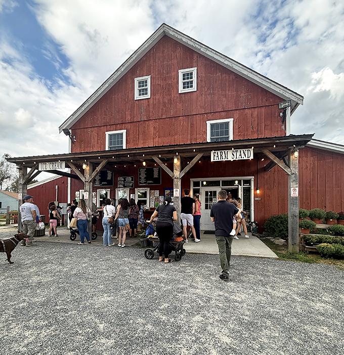 The classic red barn farm stand &ndash; where seasonal bounty meets community gathering spot, creating memories sweeter than the corn they sell.