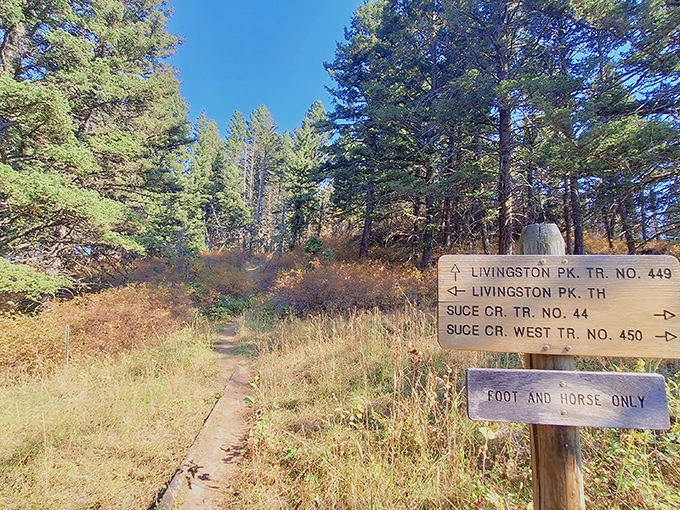 Trail signs in Livingston don't just give directions&mdash;they offer promises of adventure. "Foot and horse only" is nature's way of saying "the good stuff is this way."