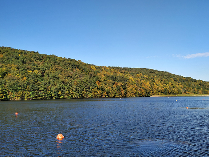Lynn Deming Park's autumn splendor costs absolutely nothing &ndash; Mother Nature's retirement gift to savvy seniors.