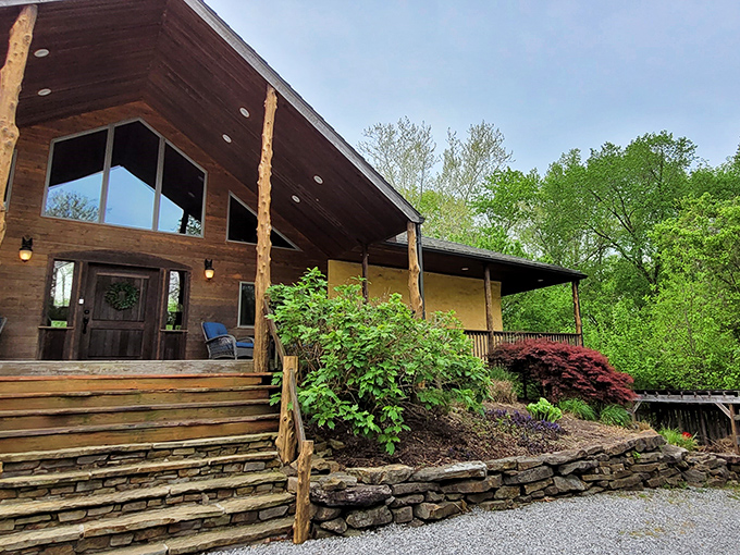 Modern cabins nestled in ancient forests offer the perfect compromise between wilderness adventure and creature comforts.
