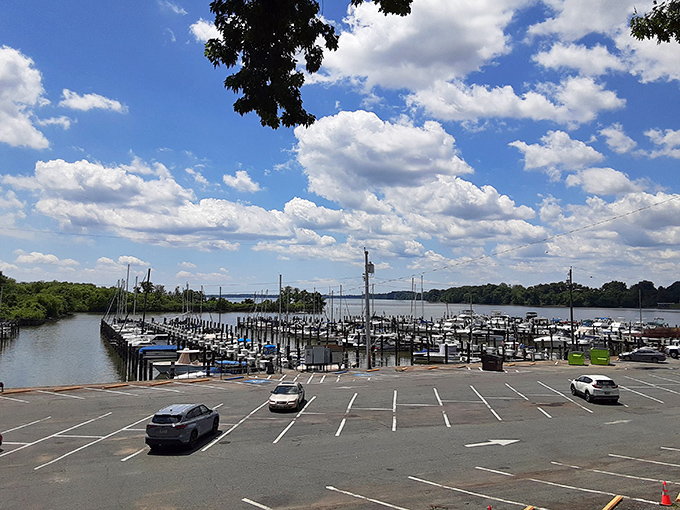 The marina stands ready for weekend captains and their vessels. Parking your car here means trading asphalt for adventures on the Chesapeake.