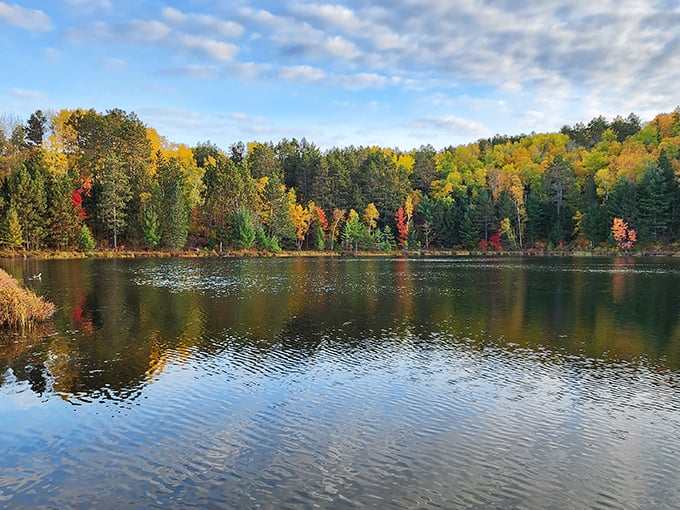 McCarthy Beach State Park showcases Minnesota's fall colors in their full glory. The water mirrors the forest like nature's own Instagram filter.