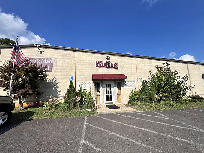 Treasure hunters rejoice! The MinuteMan Antiques Mall stands as Culpeper's temple to nostalgia, where yesterday's trinkets become tomorrow's heirlooms under that brilliant Virginia sky.
