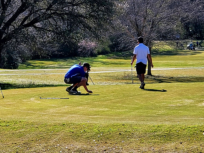 At Morehouse Country Club, the real hazard isn't sand traps but the temptation to abandon your game to admire those magnificent trees.