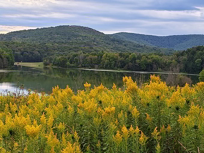 Golden wildflowers frame the perfect view of still waters and rolling hills&mdash;nature's version of a masterpiece that no filter could improve.