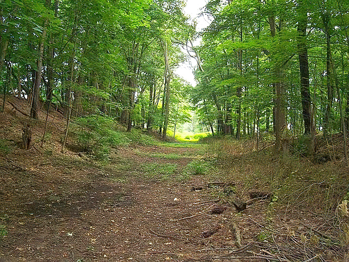 The nature trail cuts through dense Pennsylvania woodland, inviting hikers to discover that magical moment when cell service disappears and actual conversation begins.