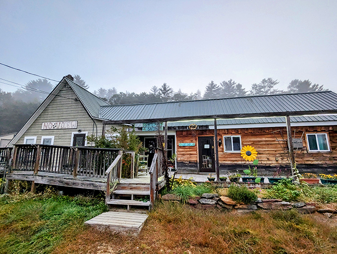 No View Farm's weathered wooden porch and cheerful sunflower suggest that sometimes the best views aren't of something, but from somewhere that feels like home.