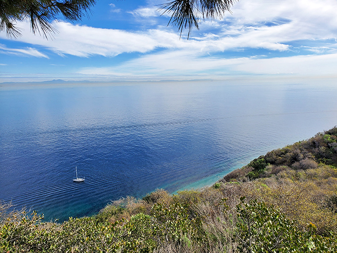 The ocean from Catalina's heights appears as an endless blue canvas with a single sailboat providing perfect scale to the vastness.