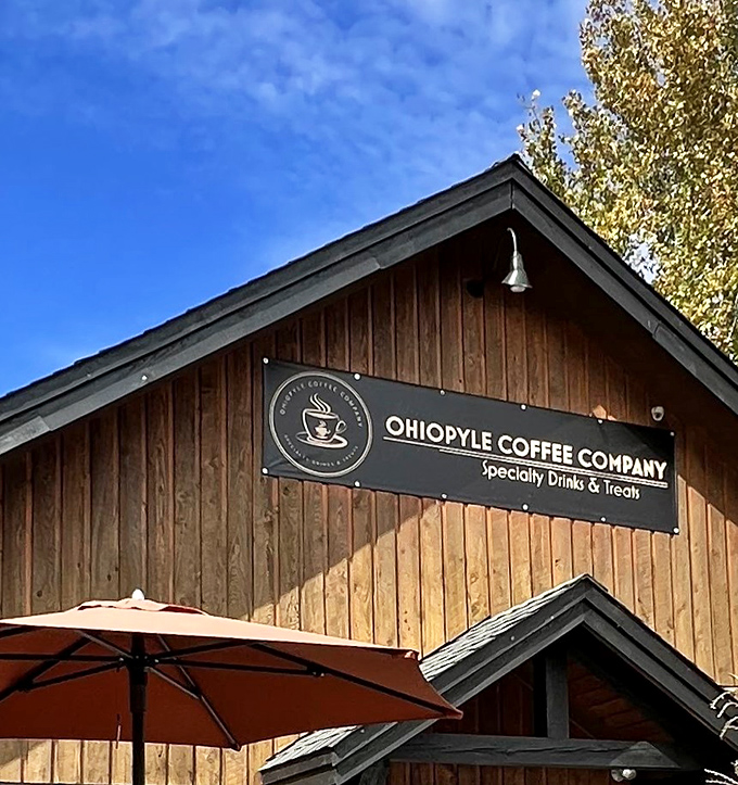 Ohiopyle Coffee Company proves that caffeine tastes better when mountains provide the backdrop instead of concrete parking lots.