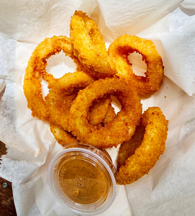 Onion rings with the perfect crunch-to-tenderness ratio, served with a dipping sauce that deserves its own fan club.