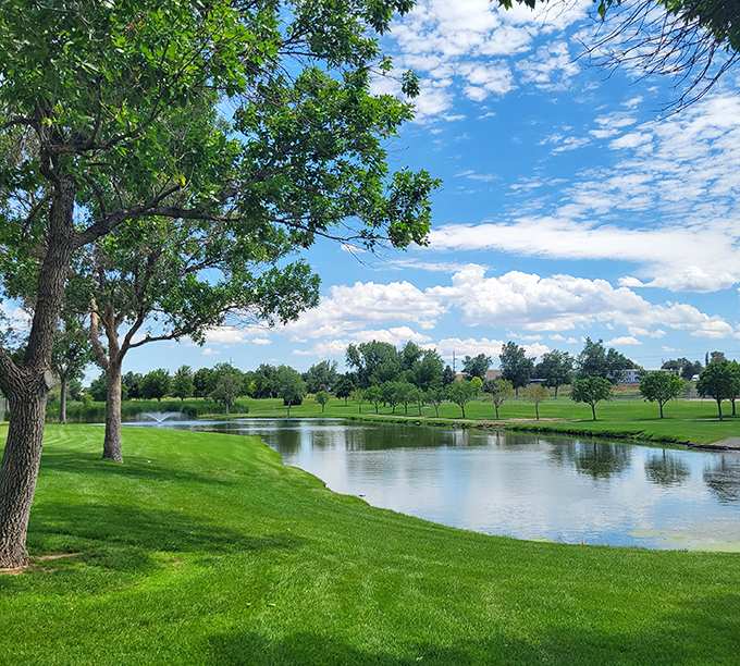 This serene pond at the disc golf course proves that water hazards can be both challenging and breathtakingly photogenic.