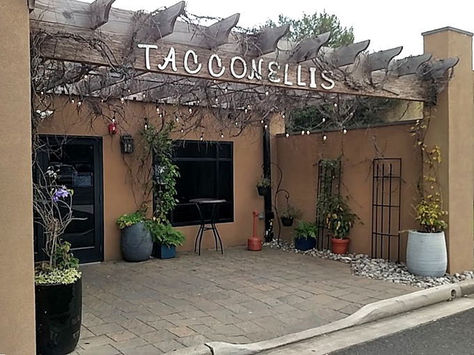 The courtyard entrance feels like discovering a secret garden, except instead of flowers, you'll find the intoxicating aroma of perfect pizza.