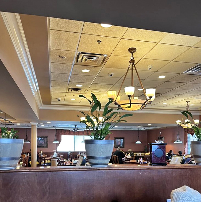 Plants and pendant lighting create an atmosphere where lingering over coffee feels like the right thing to do.