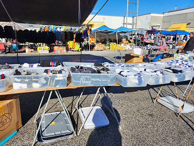 Outdoor vendors brave the elements to offer their wares. These plastic tubs of possibilities are like archaeological digs where the artifacts cost less than lunch.