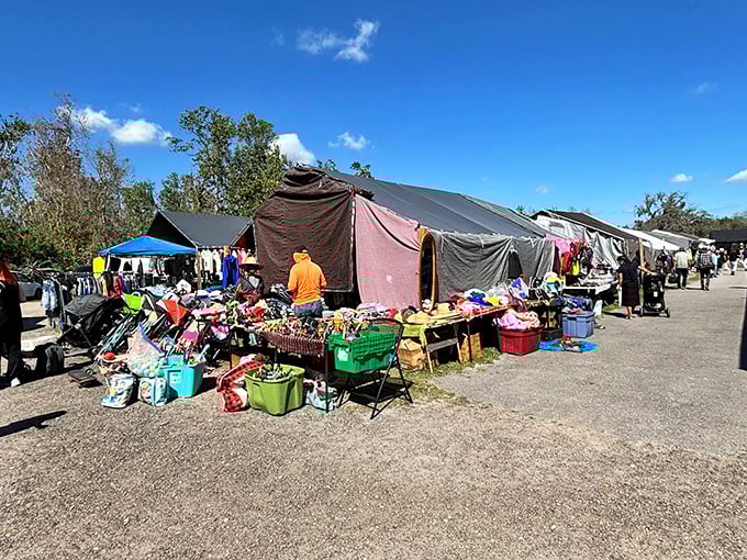 Treasure hunting under the Florida sun. This outdoor section proves that sometimes the best shopping experiences don't come with air conditioning or fancy displays.