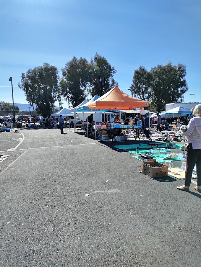 By day, the drive-in transforms into a bustling flea market where treasure hunters browse under canopies, searching for everything from vintage vinyl to fresh produce.
