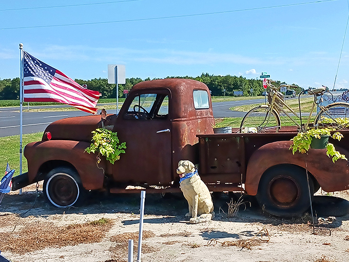Americana on full display &ndash; this rusted pickup, complete with patriotic flag and faithful canine companion, embodies nostalgic rural charm.