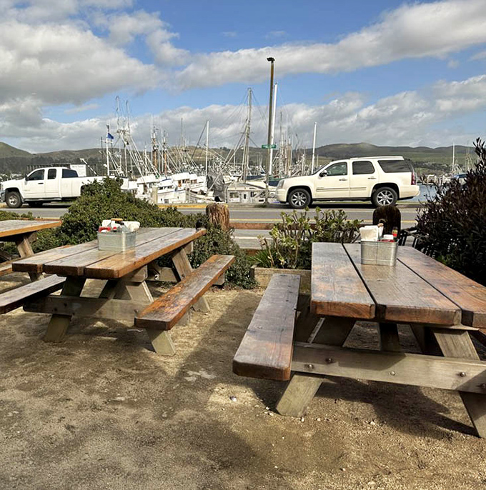 Outdoor picnic tables with harbor views offer the perfect setting to savor seafood while watching fishing boats bring in tomorrow's menu.