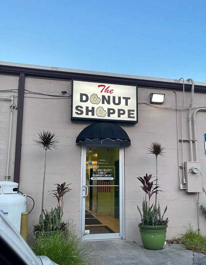 The back entrance proves that true donut aficionados will find their way to greatness regardless of which door they use. Green planters add a touch of zen to the sugar rush ahead.