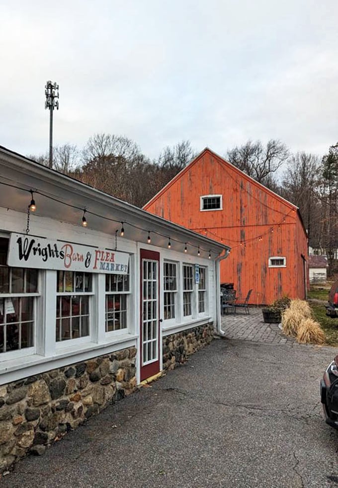 The contrast between white clapboard and weathered red barn creates that quintessential New England aesthetic that draws visitors from miles around.