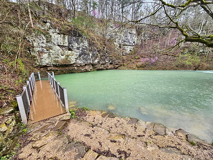 This emerald pool surrounded by limestone bluffs showcases Mother Nature's artistic side&mdash;a hidden gem that feels like it should require a secret password to visit.