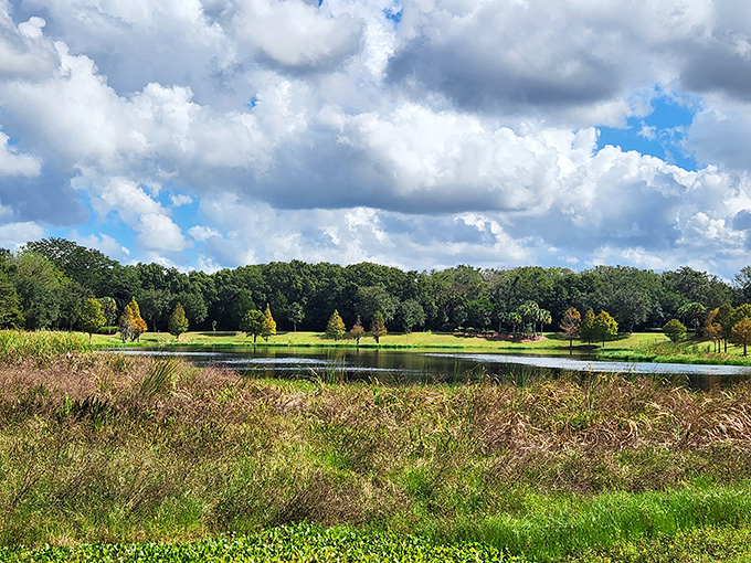 Palmetto Point Park offers a serene landscape where water, sky, and greenery create nature's perfect trifecta of relaxation.
