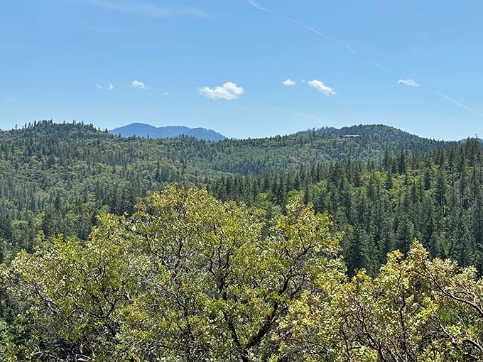 Southern Oregon's forested mountains roll toward the horizon like green waves, reminding you why people have been falling in love with this landscape for centuries.