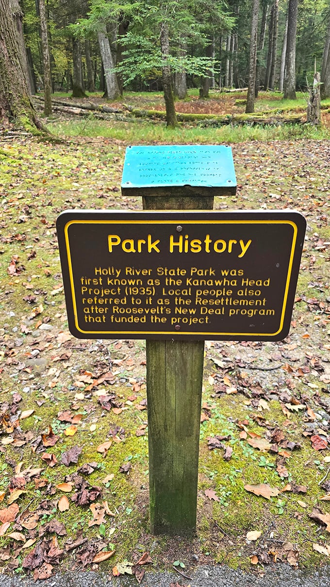 History lesson without the boring textbook&mdash;this marker reveals Holly River's New Deal roots when America invested in natural treasures.