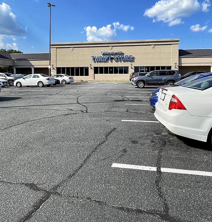 The parking lot fills with cars whose trunks will soon bulge with newfound treasures&mdash;the before shot of a successful thrifting expedition.