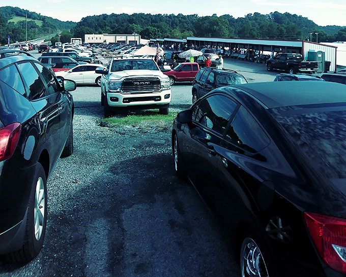 Parking lot packed with hopeful hunters. Each car represents someone thinking, "Today might be my lucky day!"