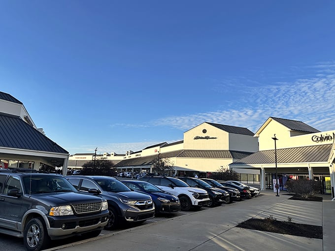 The parking lot at golden hour—where triumphant shoppers return laden with bags, wallets lighter but spirits considerably lifted.
