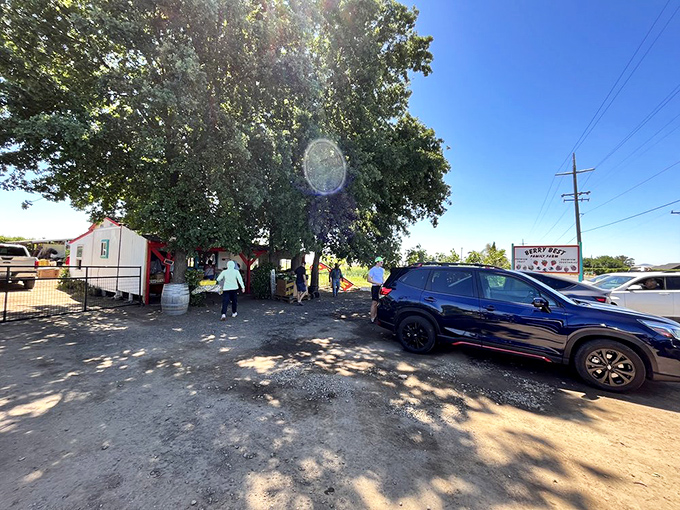 The parking area might lack valet service, but what awaits beyond those trees is worth more than any five-star hotel experience.