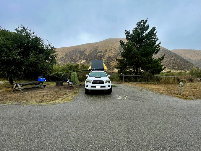 Campsite #37: Where your Toyota becomes a penthouse suite with million-dollar views. No room service, but the stargazing compensates nicely.
