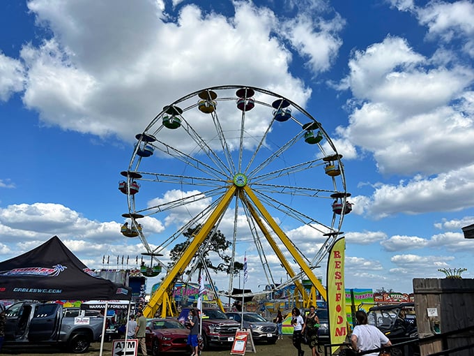 The Ferris wheel at the Pasco County Fair offers riders spectacular views and that stomach-dropping thrill that never gets old, no matter your age.
