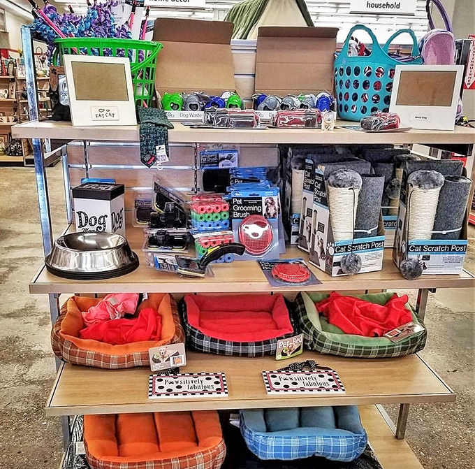 Even pets get the thrift treatment, with beds and bowls at prices Fido would approve.