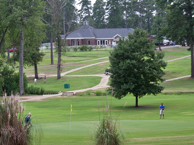 Pine Hills Golf Course offers retirement perfection: chasing little white balls across meticulously maintained green therapy sessions.