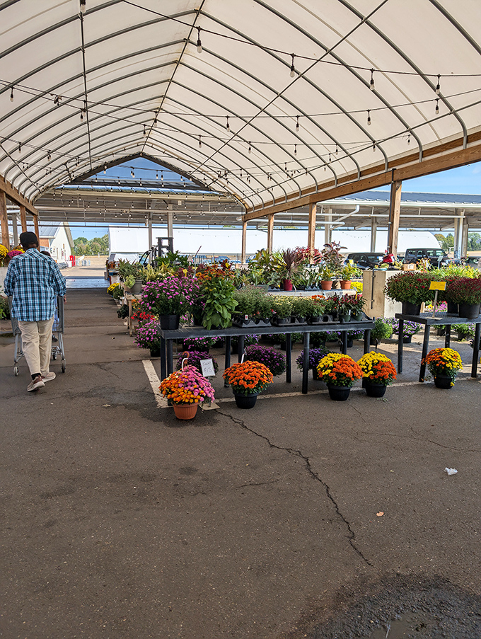 Fall mums and seasonal flowers bring natural beauty to concrete and steel, softening capitalism with nature's artistry.