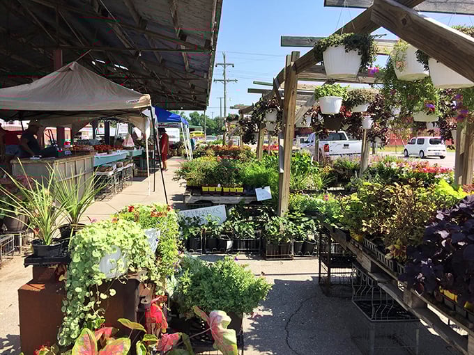 A gardener's paradise where potted possibilities await &ndash; take home a living souvenir that transforms your patio into an extension of Oklahoma's natural beauty.