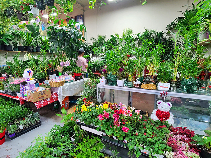 A jungle of greenery brings life to any space, assuming you can keep plants alive longer than goldfish.